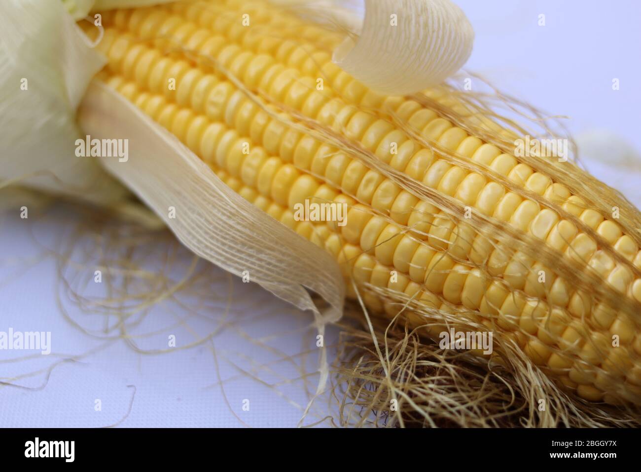 Fresh organic Sweet corn isolated on white background Stock Photo - Alamy