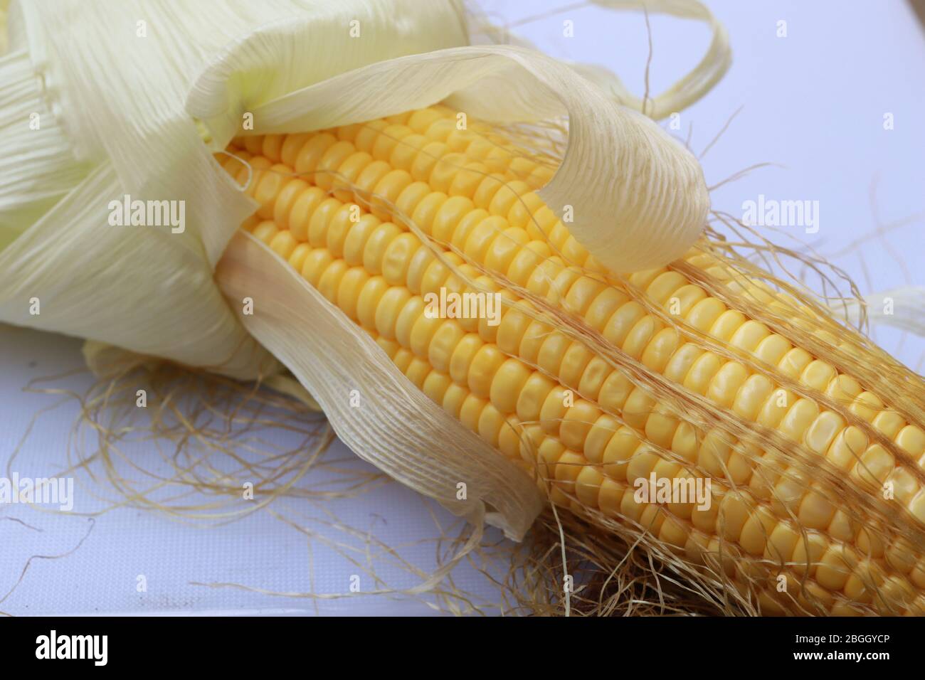 Fresh organic Sweet corn isolated on white background Stock Photo - Alamy