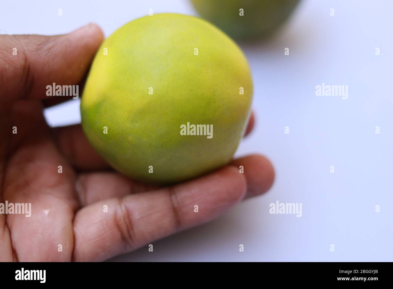 Yellow and green color whole ripe Sweet lime fruits or Citrus limetta ...