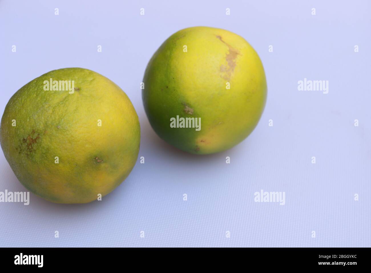 Yellow and green color whole ripe Sweet lime fruits or Citrus limetta ...