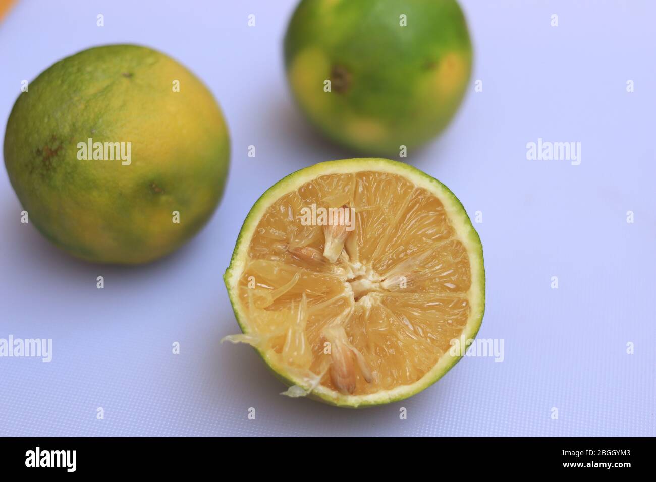 Yellow and green color whole ripe Sweet lime fruits or Citrus limetta ...