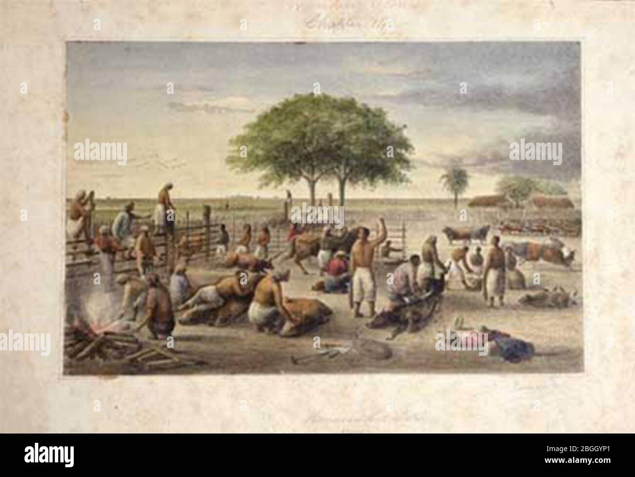 Rio apure hi-res stock photography and images - Alamy