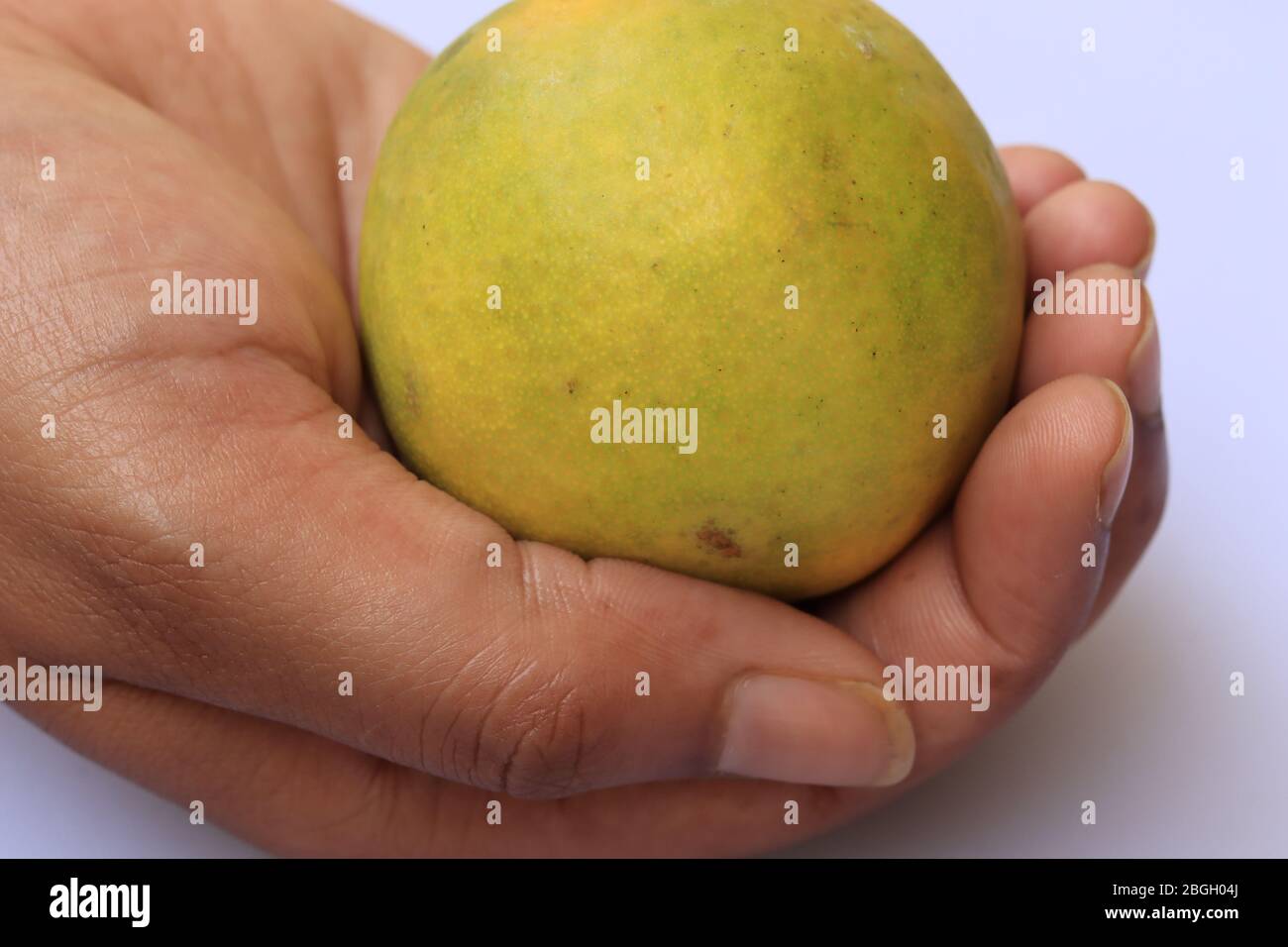 Yellow and green color whole ripe Sweet lime fruits or Citrus limetta ...