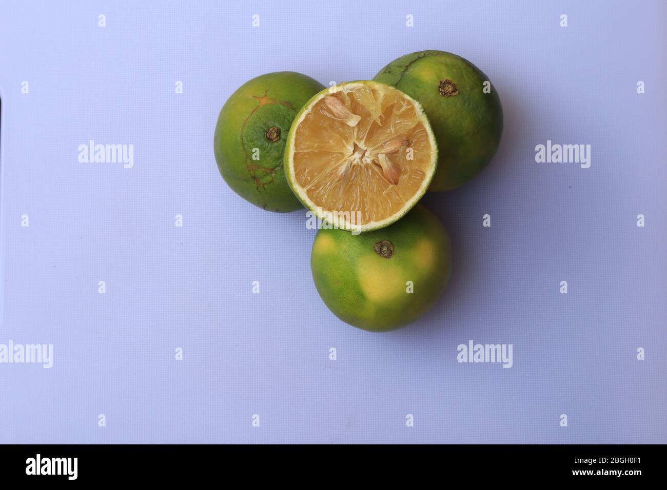 Yellow and green color whole ripe Sweet lime fruits or Citrus limetta ...