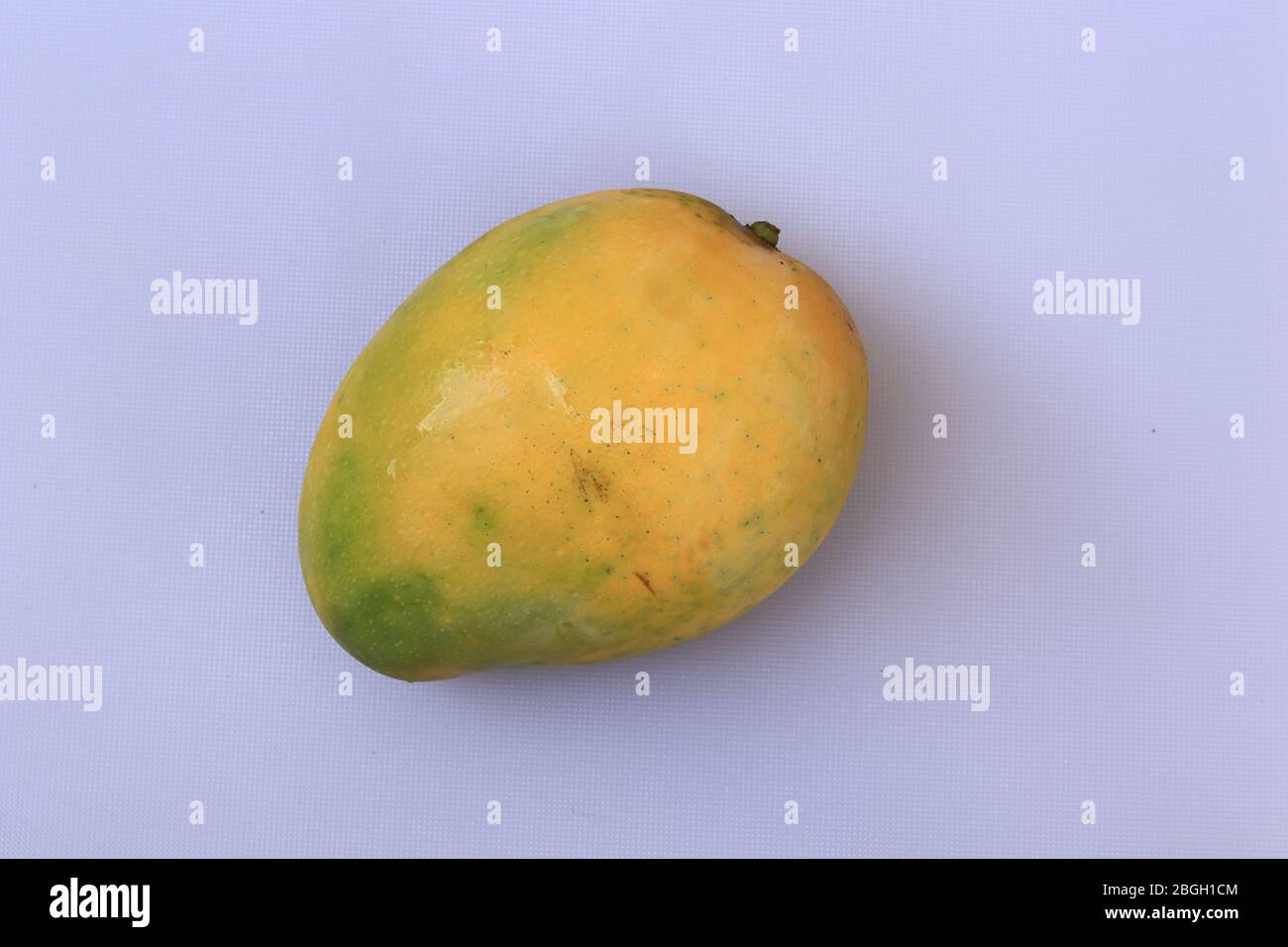 Fresh Yellow Mango fruit isolated on white background Stock Photo - Alamy