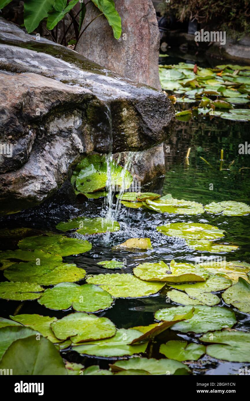 water feature in the Adelaide Himeji Garden, Adelaide South Australia ...