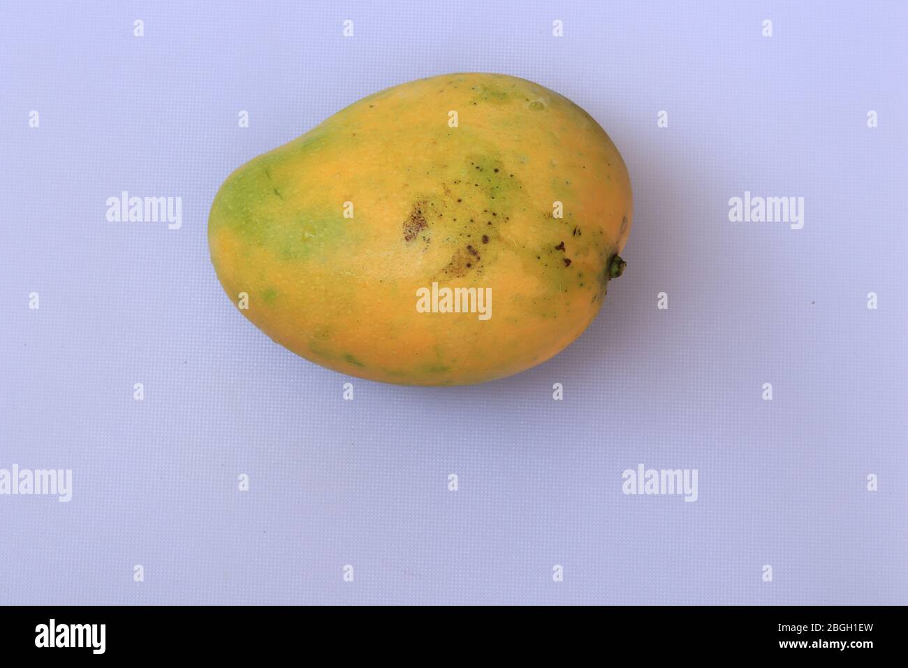 Fresh Yellow Mango fruit isolated on white background Stock Photo - Alamy