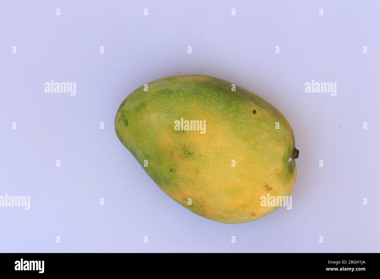 Fresh Yellow Mango fruit isolated on white background Stock Photo - Alamy