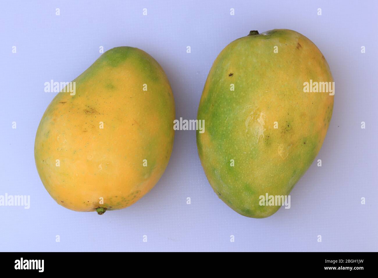 Fresh Yellow Mango fruit isolated on white background Stock Photo - Alamy