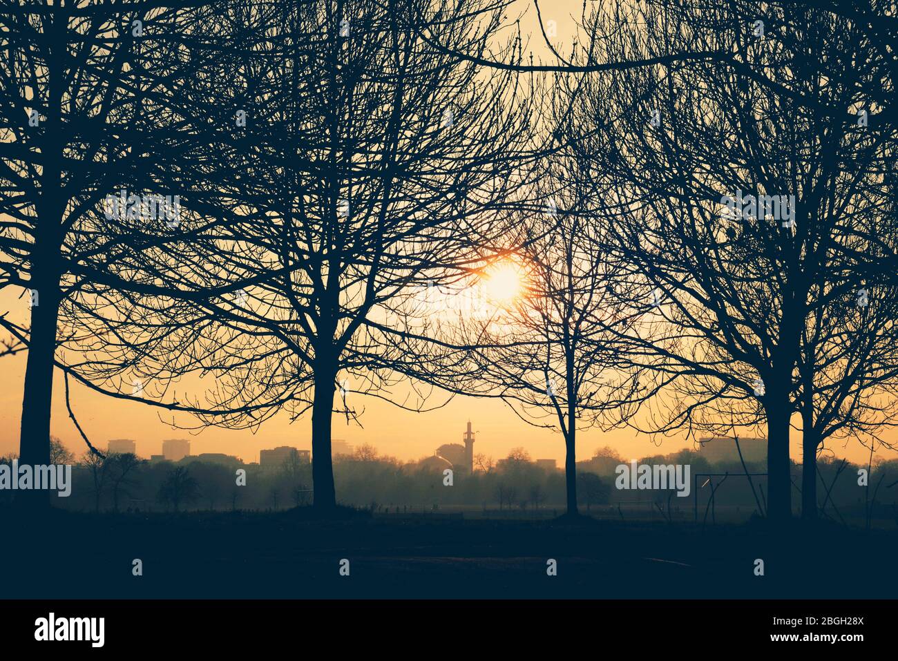 Orange Sunset through Bare Trees Stock Photo - Alamy