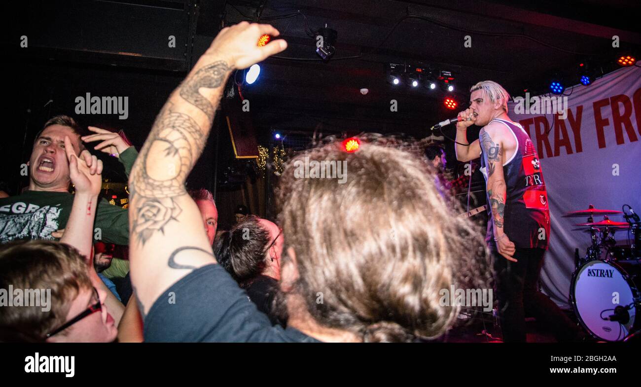 Stray from the path hi-res stock photography and images - Alamy