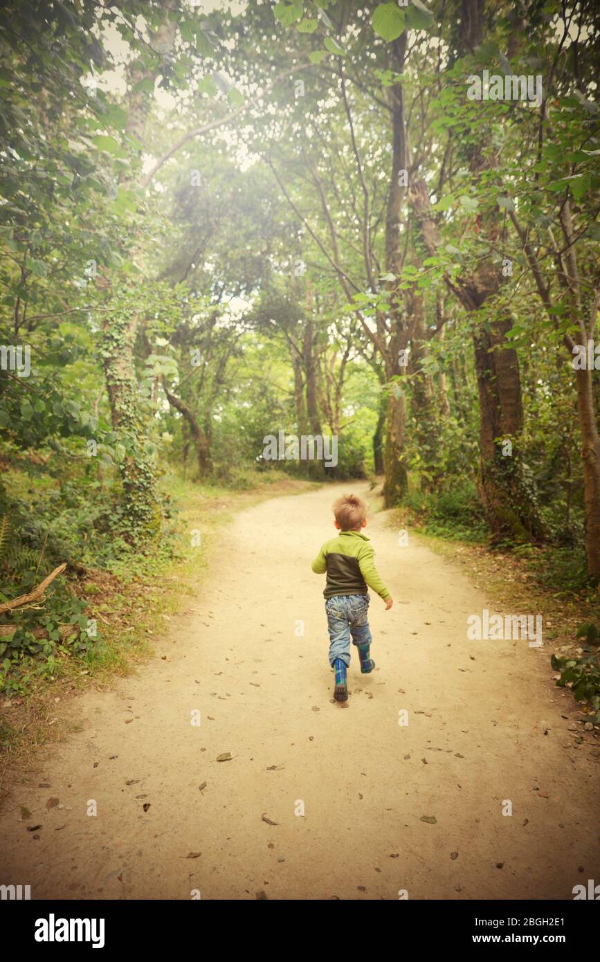 Rear View of Young Boy running down Woodland Path Stock Photo - Alamy
