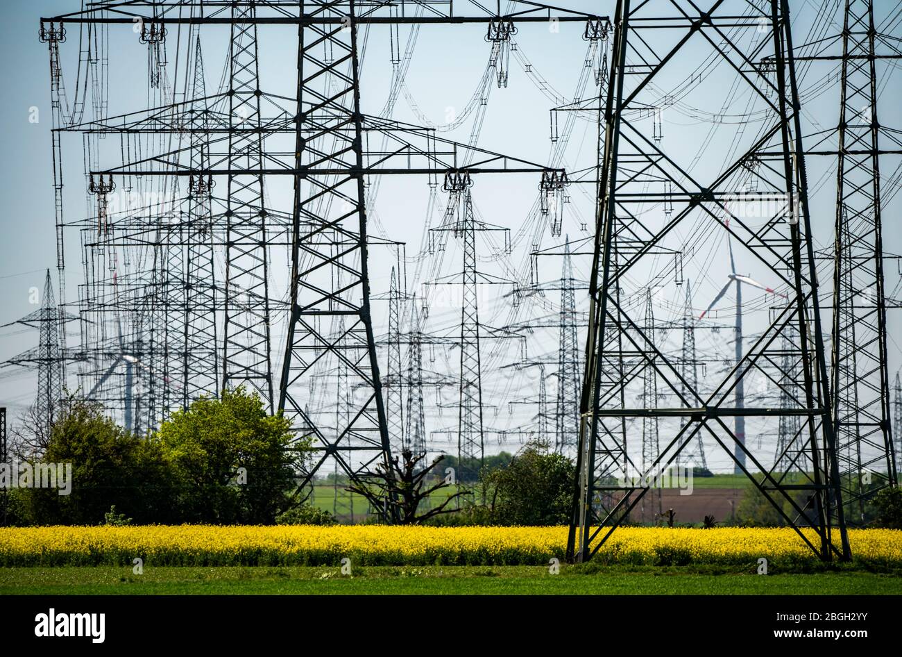Extra-high voltage lines, 380 KV, power line, the electricity comes ...