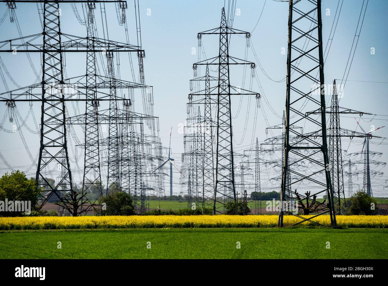 Extra-high voltage lines, 380 KV, power line, the electricity comes ...