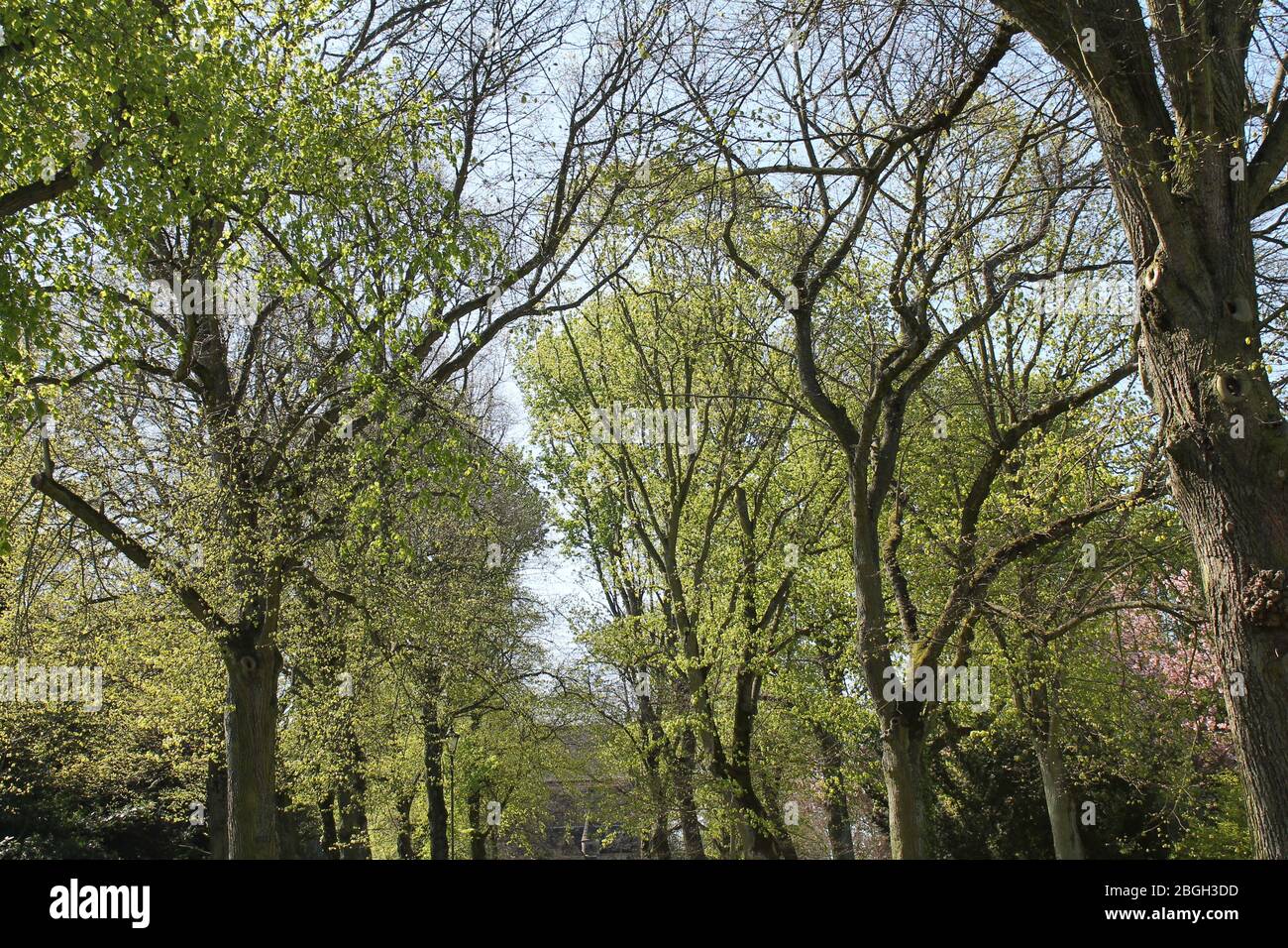 English landscapes hi-res stock photography and images - Alamy