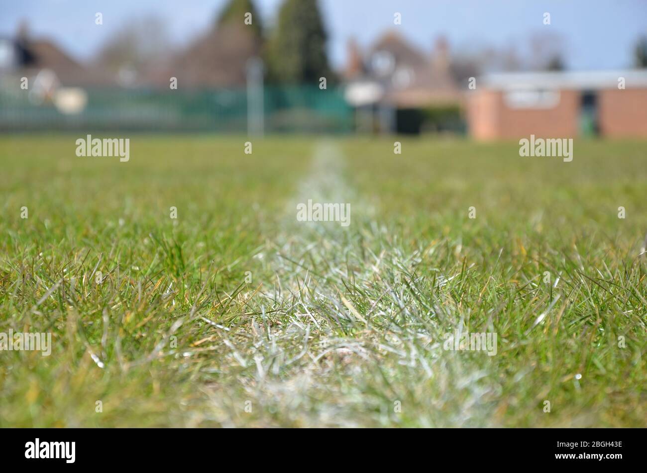 Closeup view of white line on football playground. Detail of a of white ...