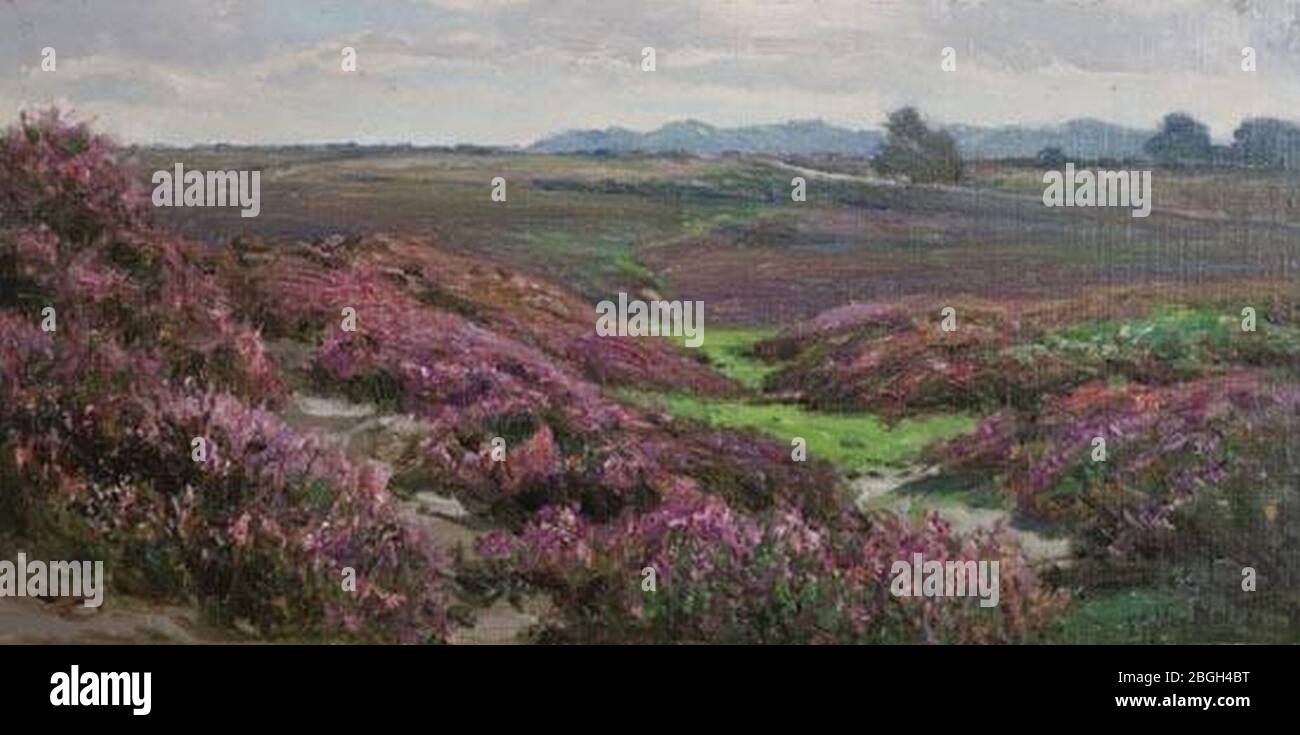 Hills in Distance - 1926 - Frederick Golden Short Stock Photo - Alamy