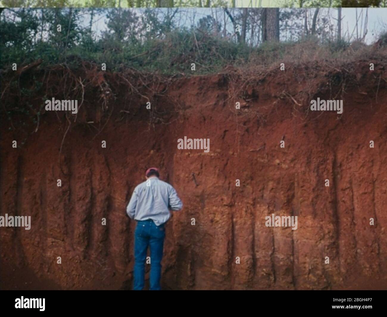 Hilo soil profile Stock Photo - Alamy