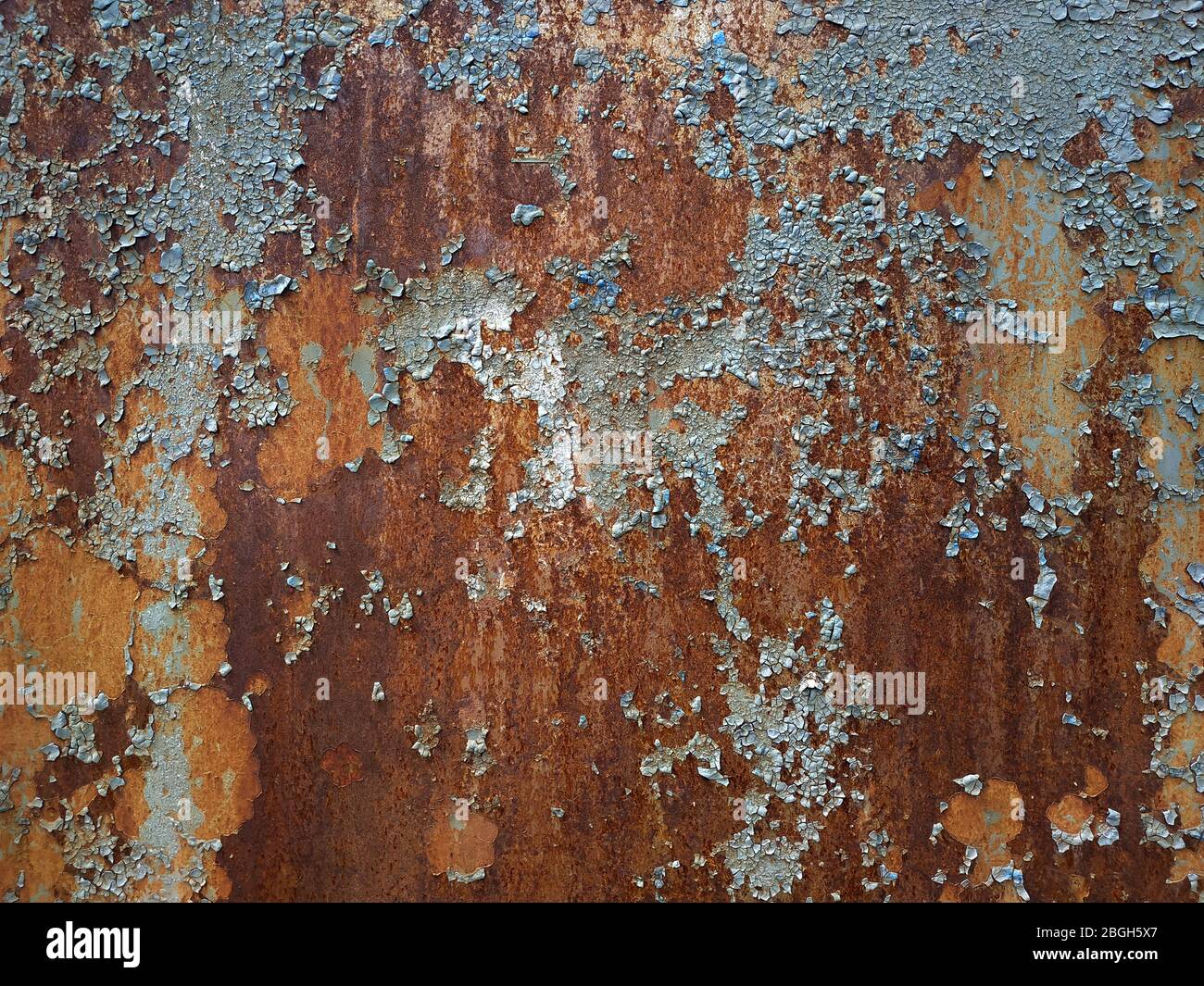 Corroded metal background. Rusted white painted metal wall. Rusty metal ...