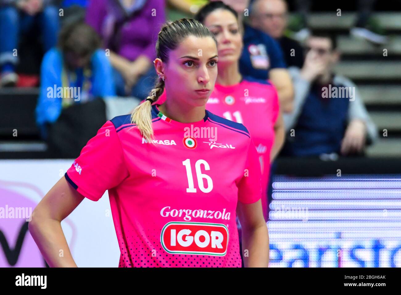 Elitsa vasileva hi-res stock photography and images - Alamy