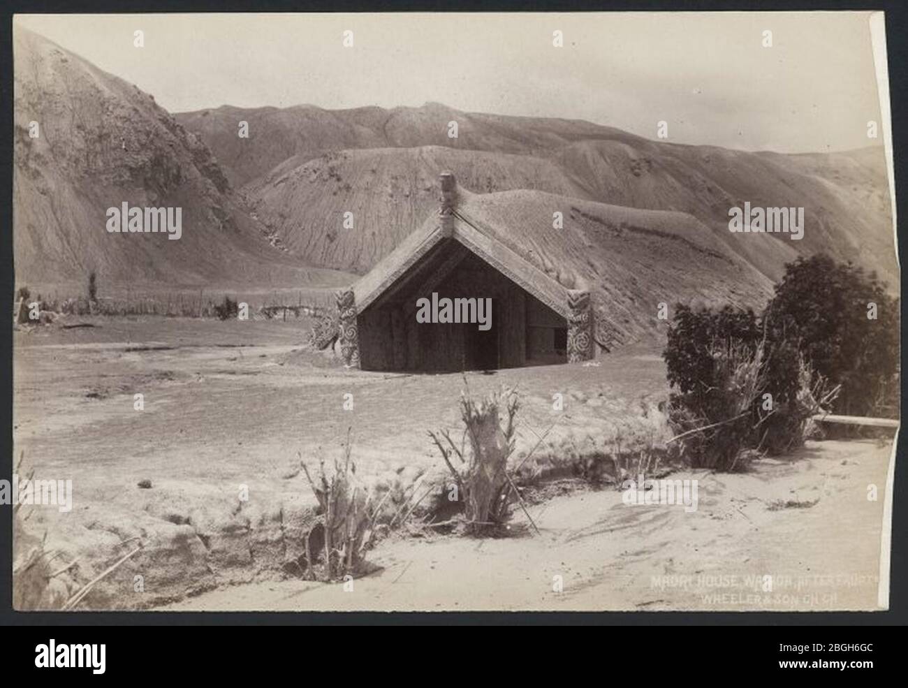 Hinemihi Meeting House after Tarawera eruption 1886 Stock Photo - Alamy