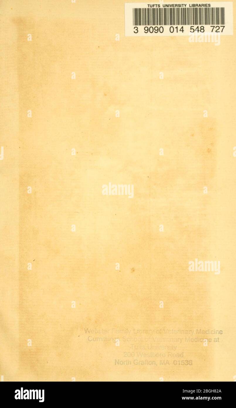 Colt breaking hi-res stock photography and images - Alamy