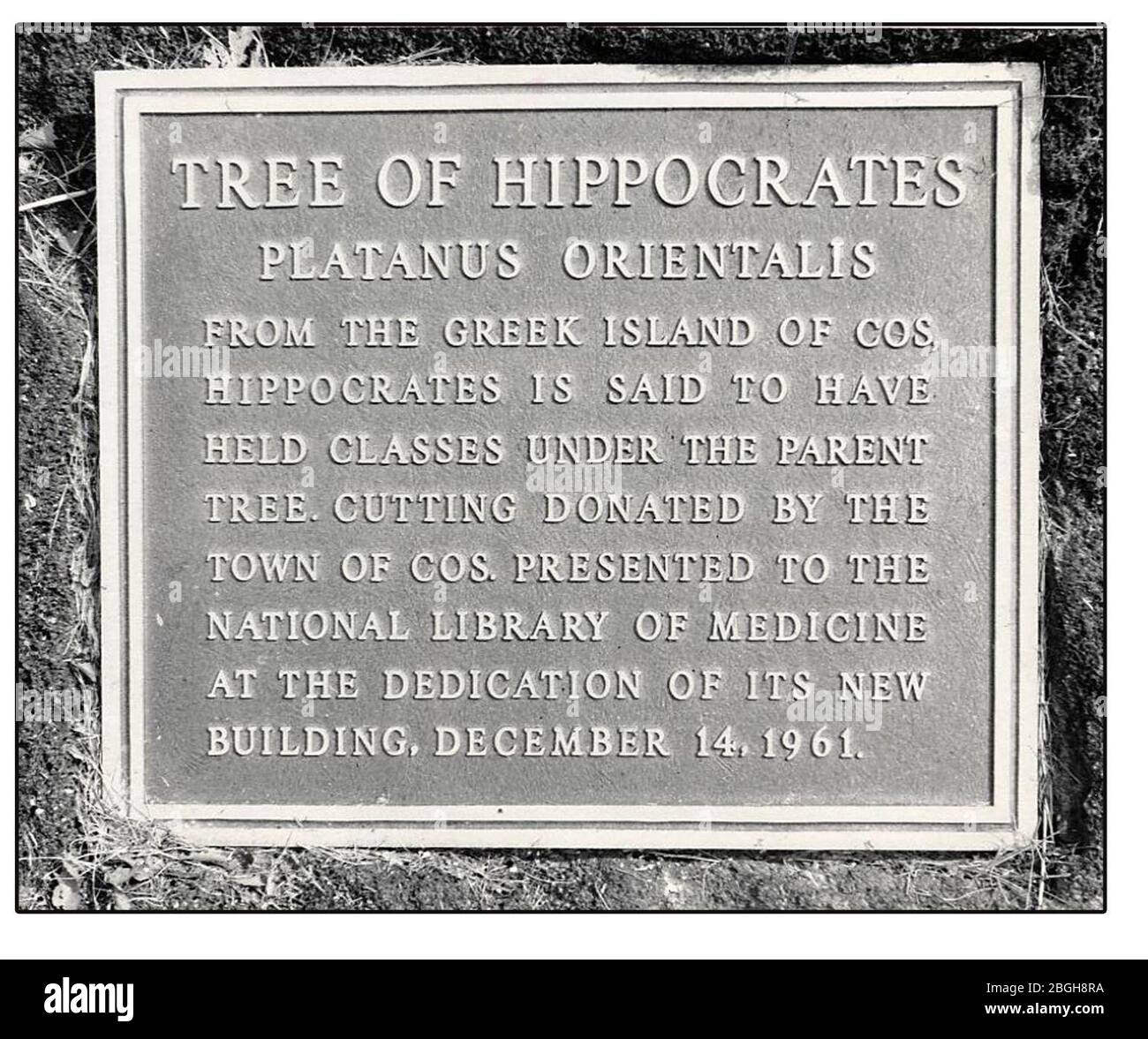 Hippocrates Cut Out Stock Images & Pictures - Alamy