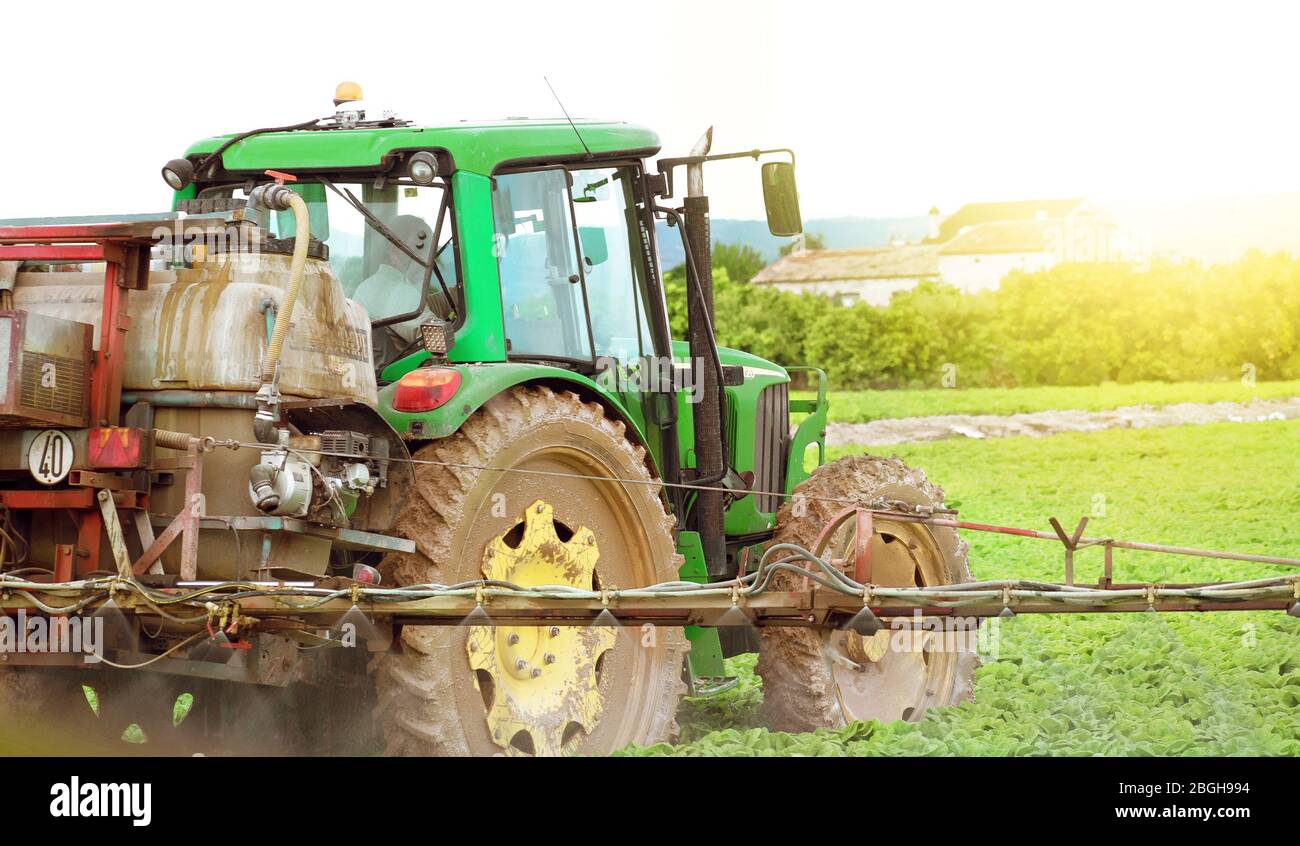 Tractor spraying pesticide, pesticides or insecticide spray on lettuce ...