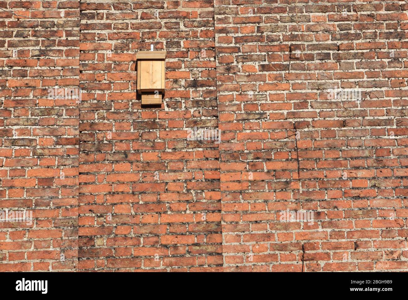 Conservation bat box hi-res stock photography and images - Alamy