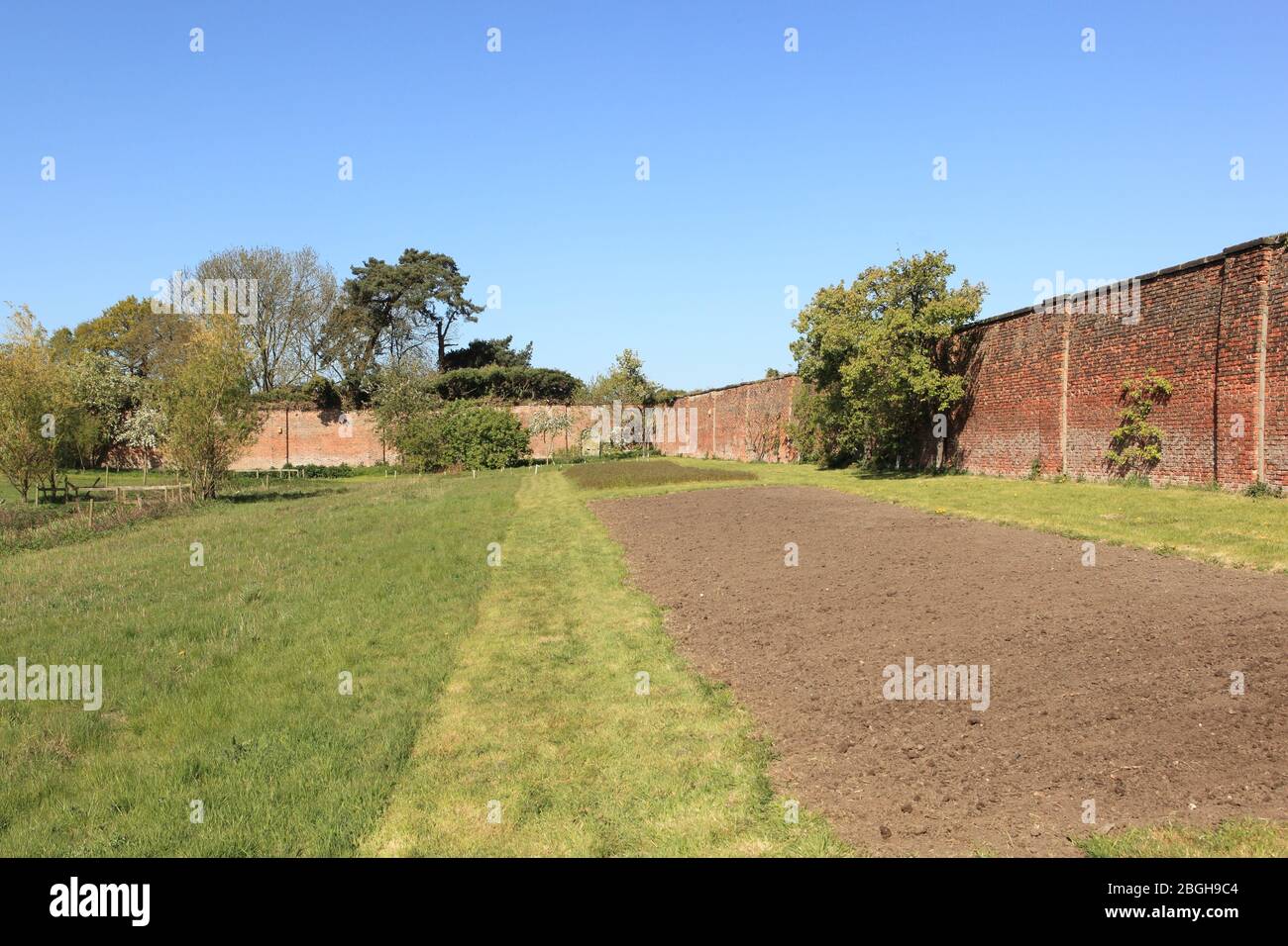 Beautiful old walled garden in springtime with organic fruit trees and ...