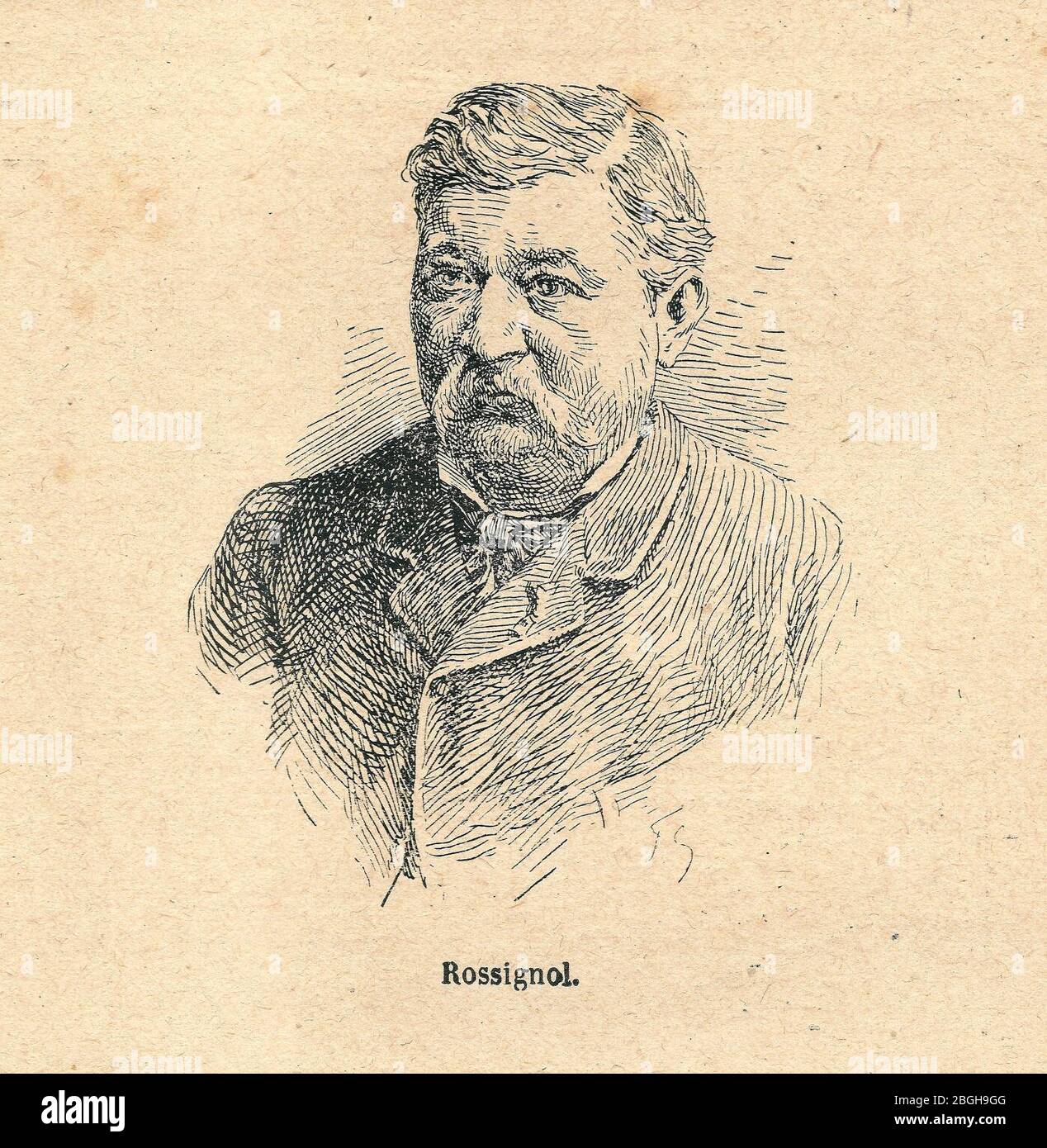 Rossignol hi-res stock photography and images - Alamy