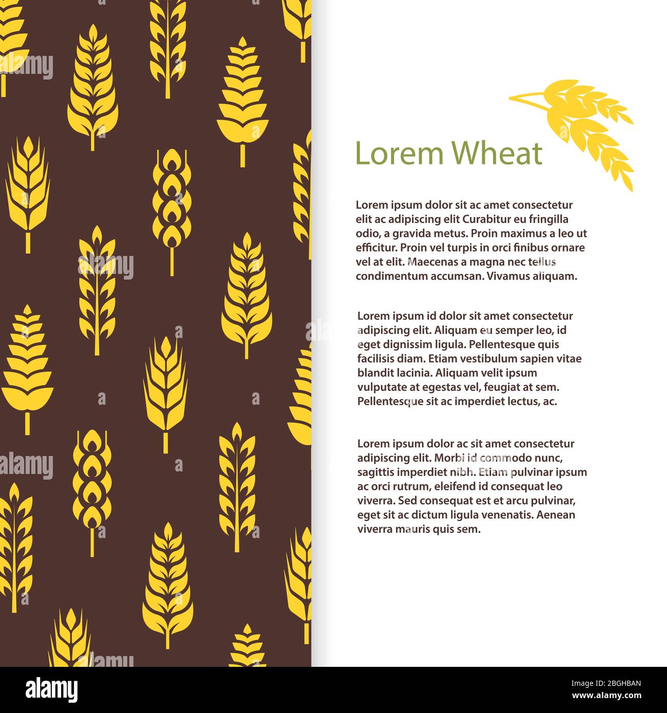 Wheat ears bread banner or posters template. Grains flyer design ...