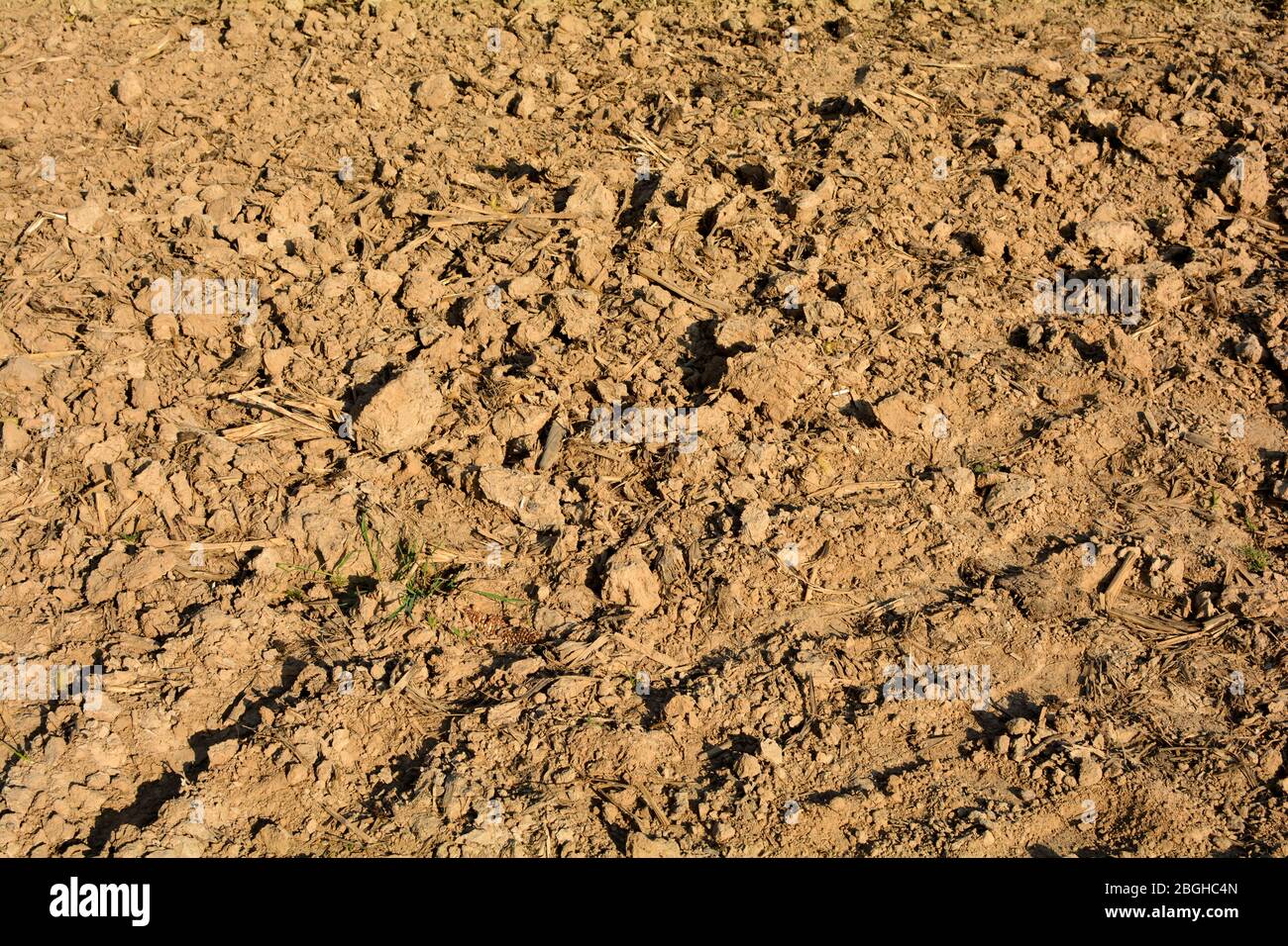 Soil from a cultivated field on a dry day Stock Photo - Alamy