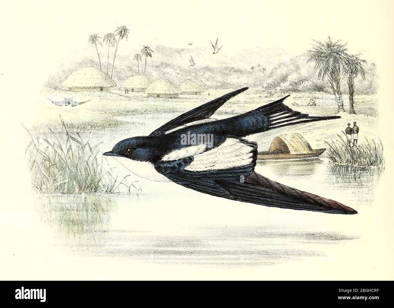 Cww hi-res stock photography and images - Alamy