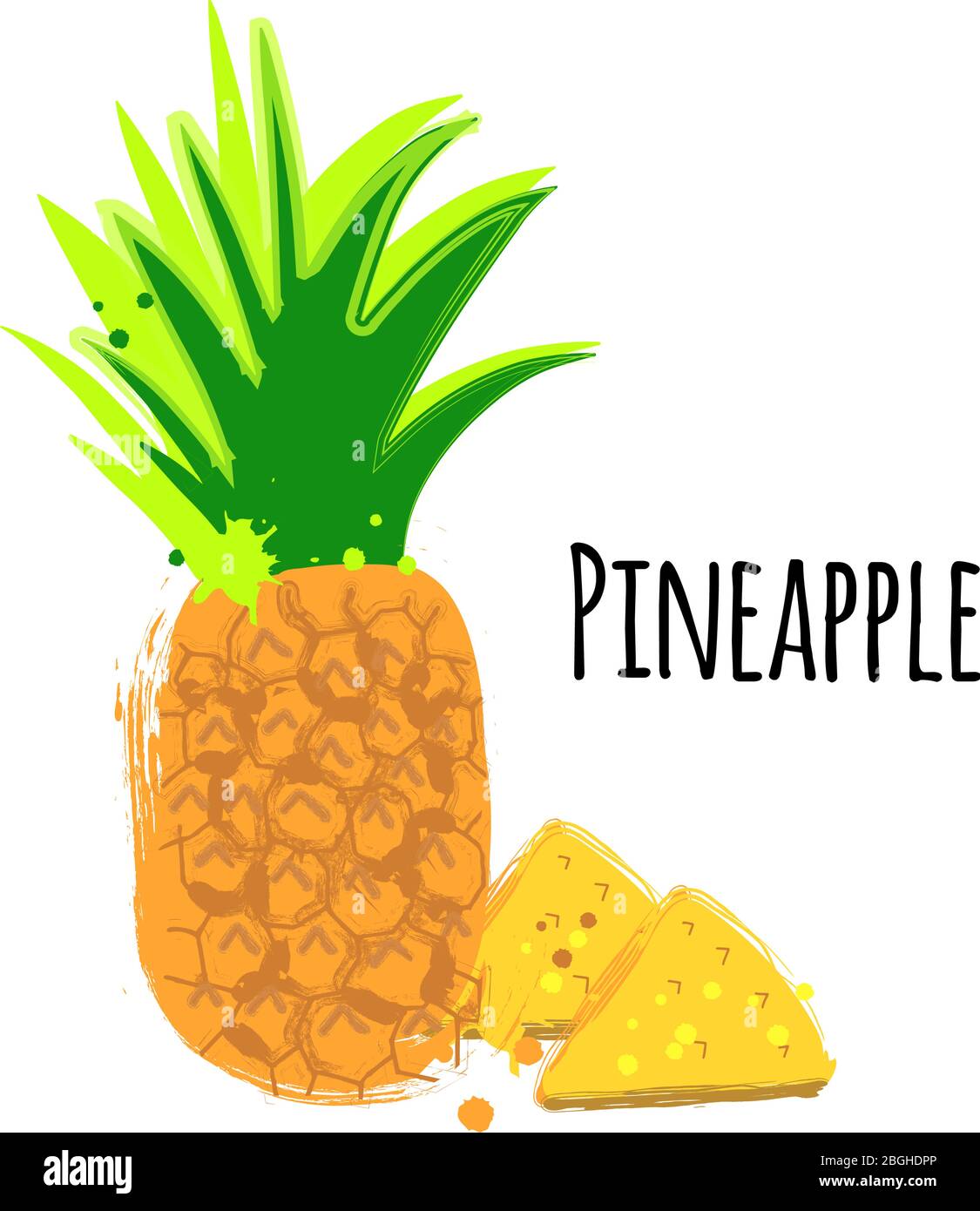 Illustration of a tropical fruit pineapple isolated on white background ...