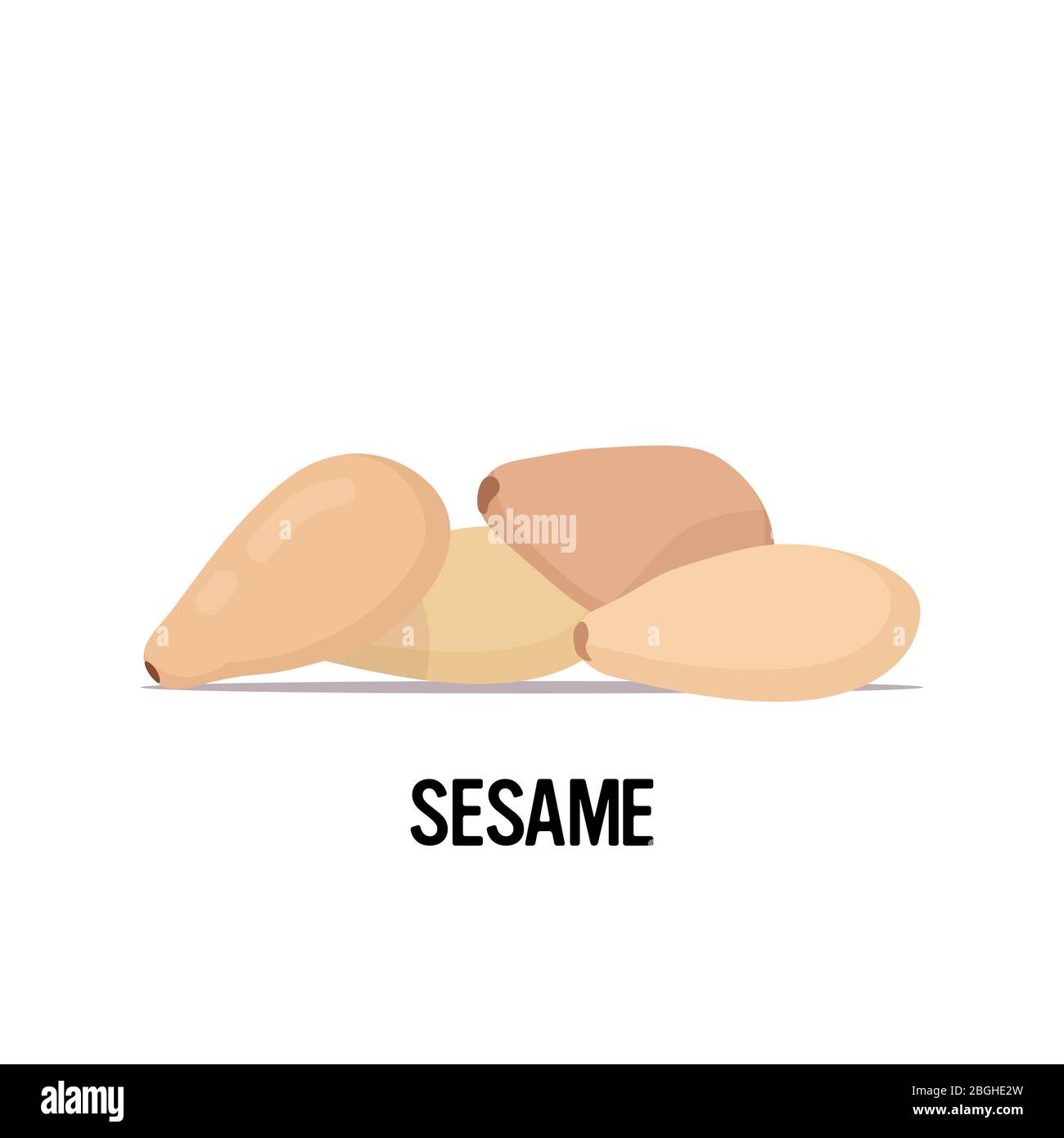 Natural sesame seed Stock Vector Images - Alamy