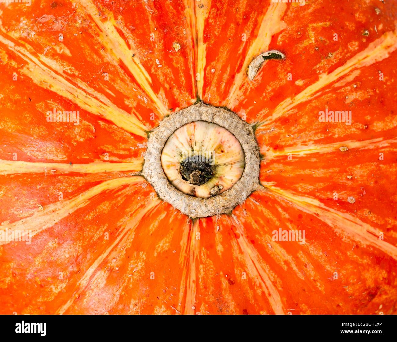 Orange Pumpkin background and texture Stock Photo - Alamy
