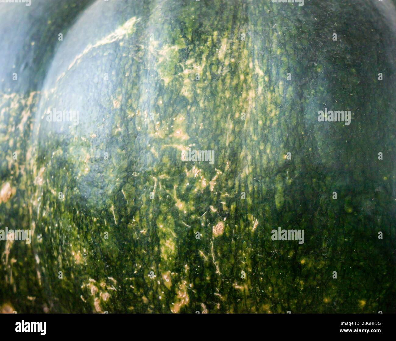 Pumpkin background and texture Stock Photo - Alamy