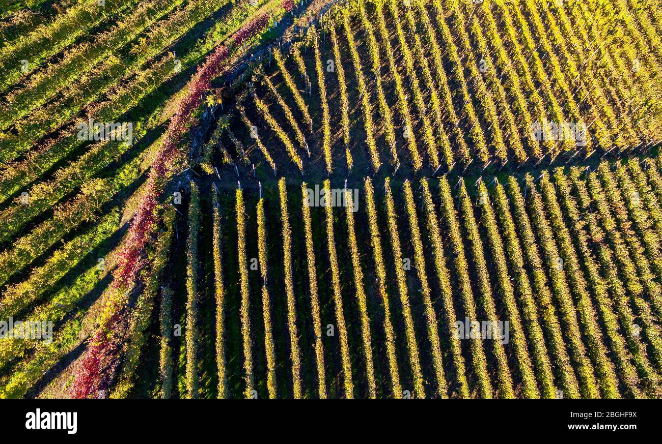Aerial landscape view above vineyard hi-res stock photography and ...