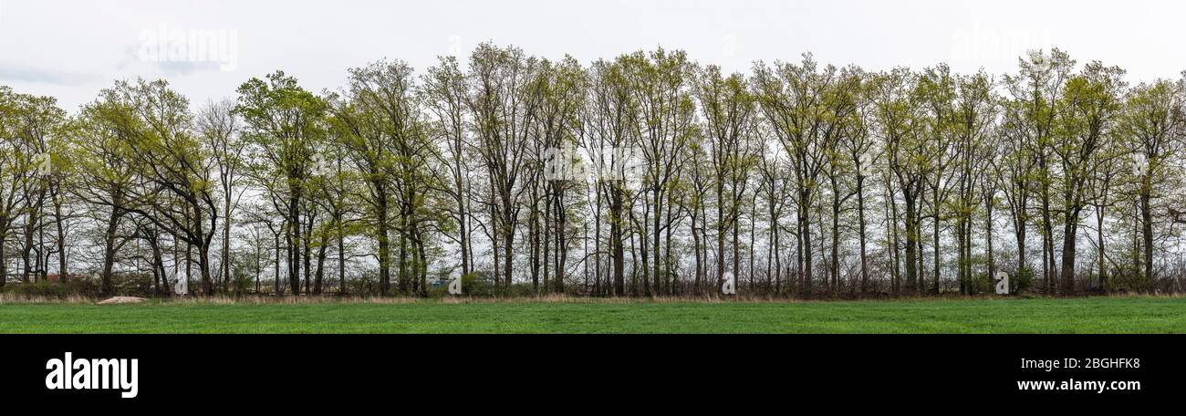 Bend hi res hi-res stock photography and images - Alamy