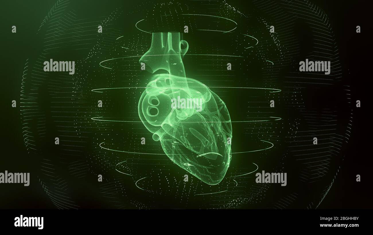 Anatomically correct green digital human heart. Futuristic particle ...