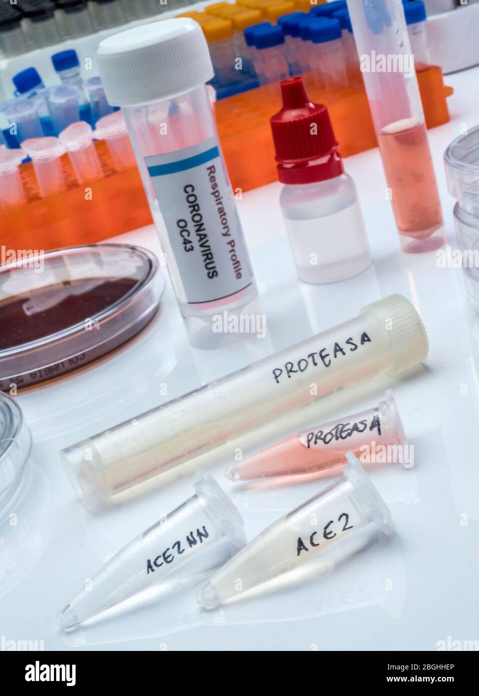 Enzyme activation hi-res stock photography and images - Alamy