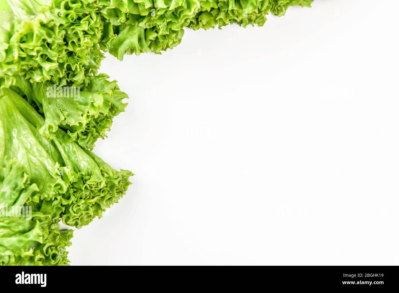 Vegetable still life. Lettuce corner. Top view Stock Photo - Alamy