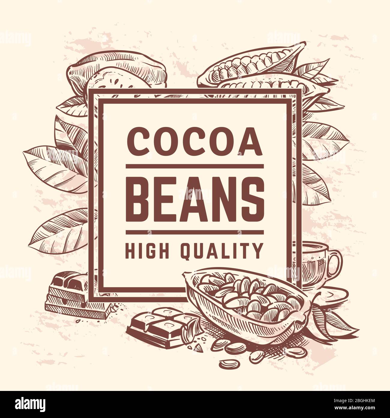 Cacao tree botanical drawing hi-res stock photography and images - Alamy