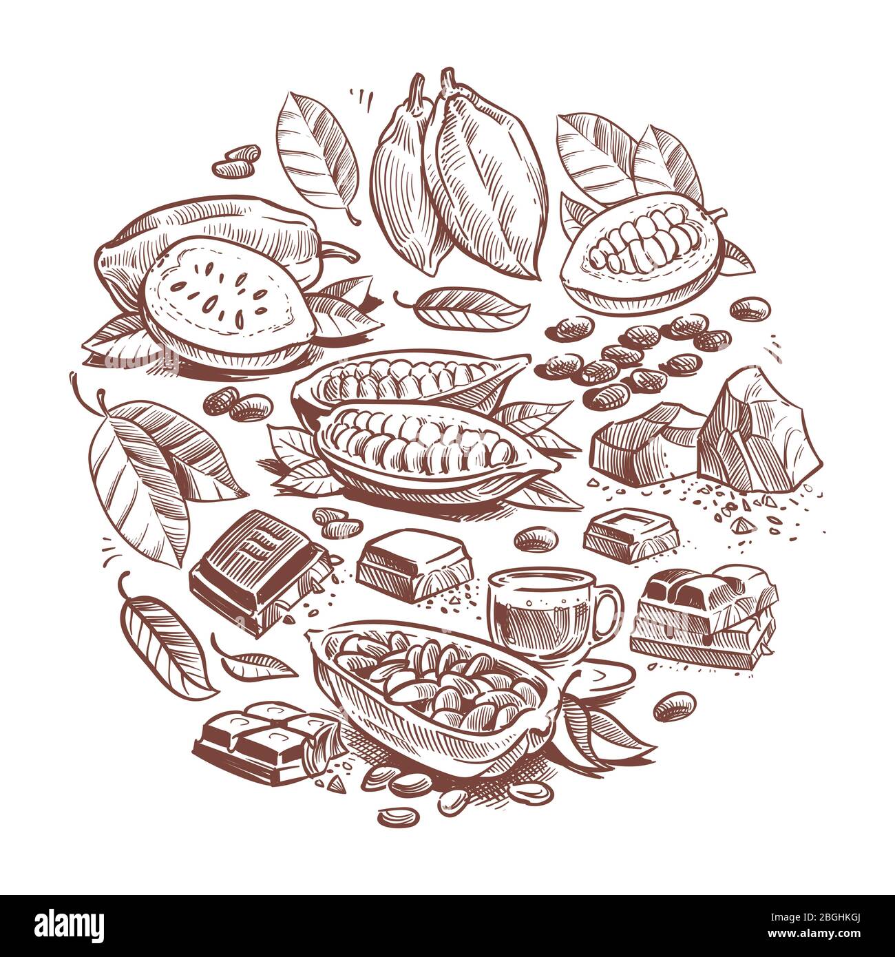 Cocoa leaf shape Stock Vector Images - Alamy