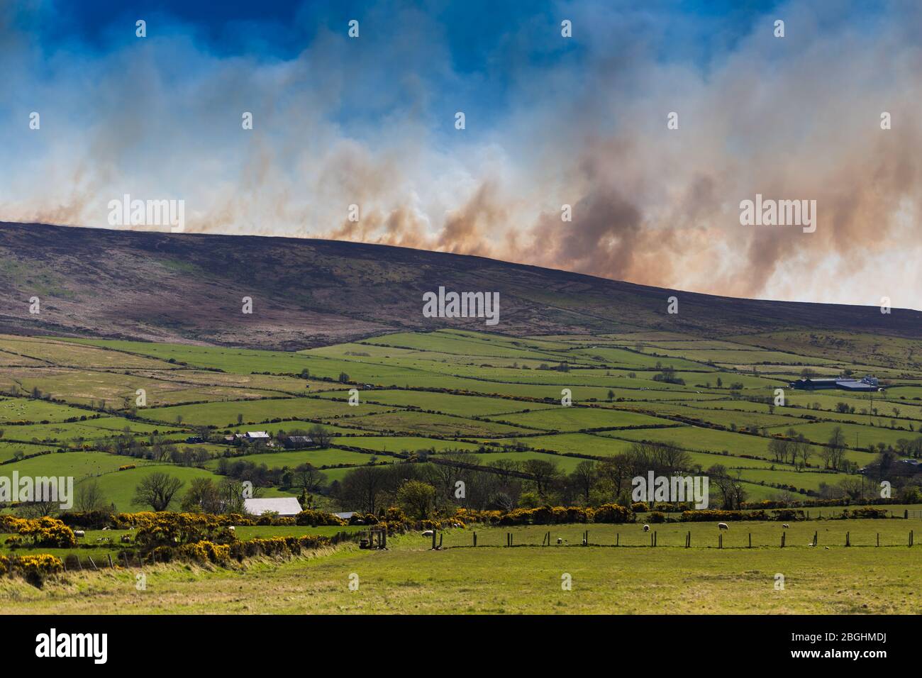 Gorse Management High Resolution Stock Photography and Images - Alamy