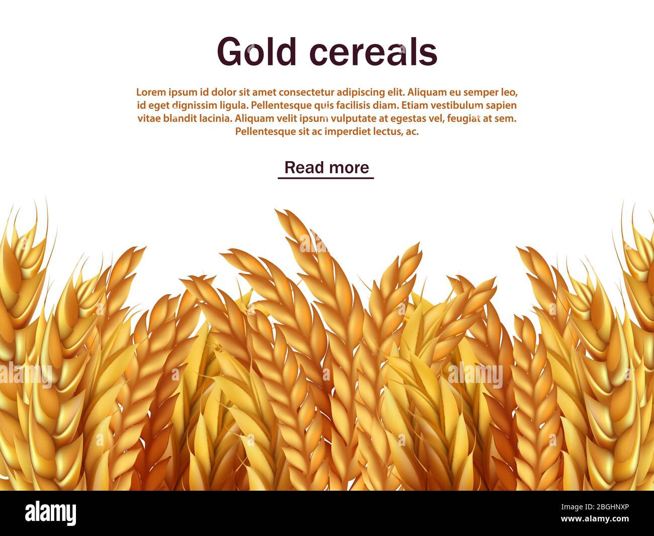 Wheat surface background Stock Vector Images - Alamy