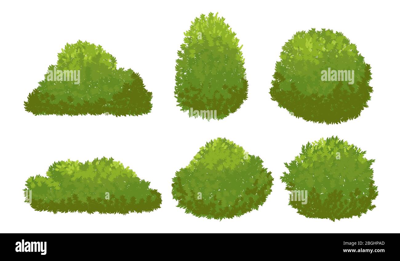 Garden green bushes. Cartoon shrub and bush vector set isolated on ...