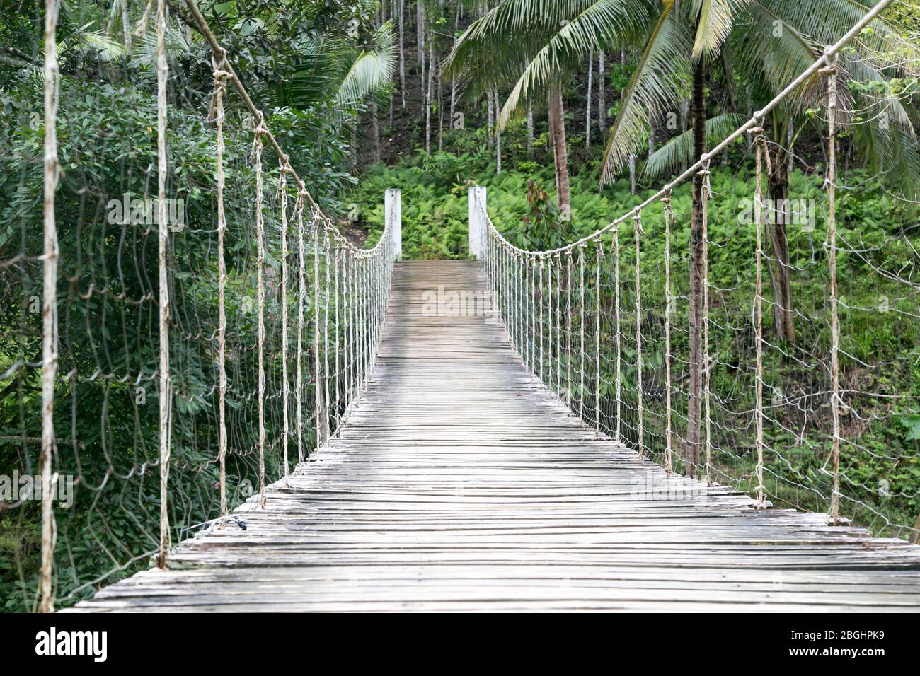 Suspension wooden bridge in the jungle Stock Photo - Alamy