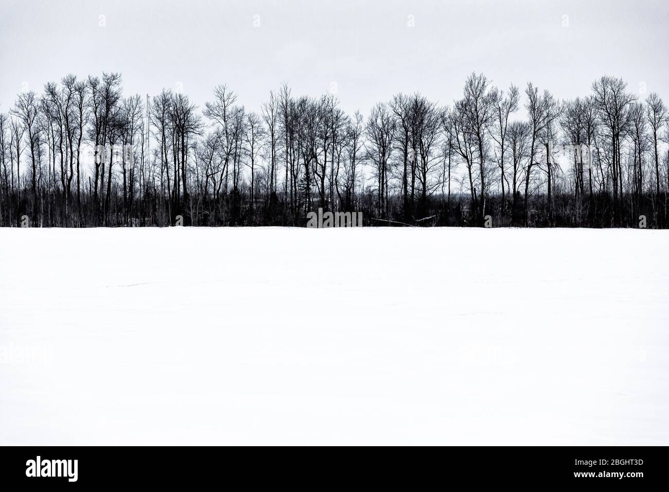 Stark farm field in the Upper Peninsula of Michigan, USA Stock Photo ...
